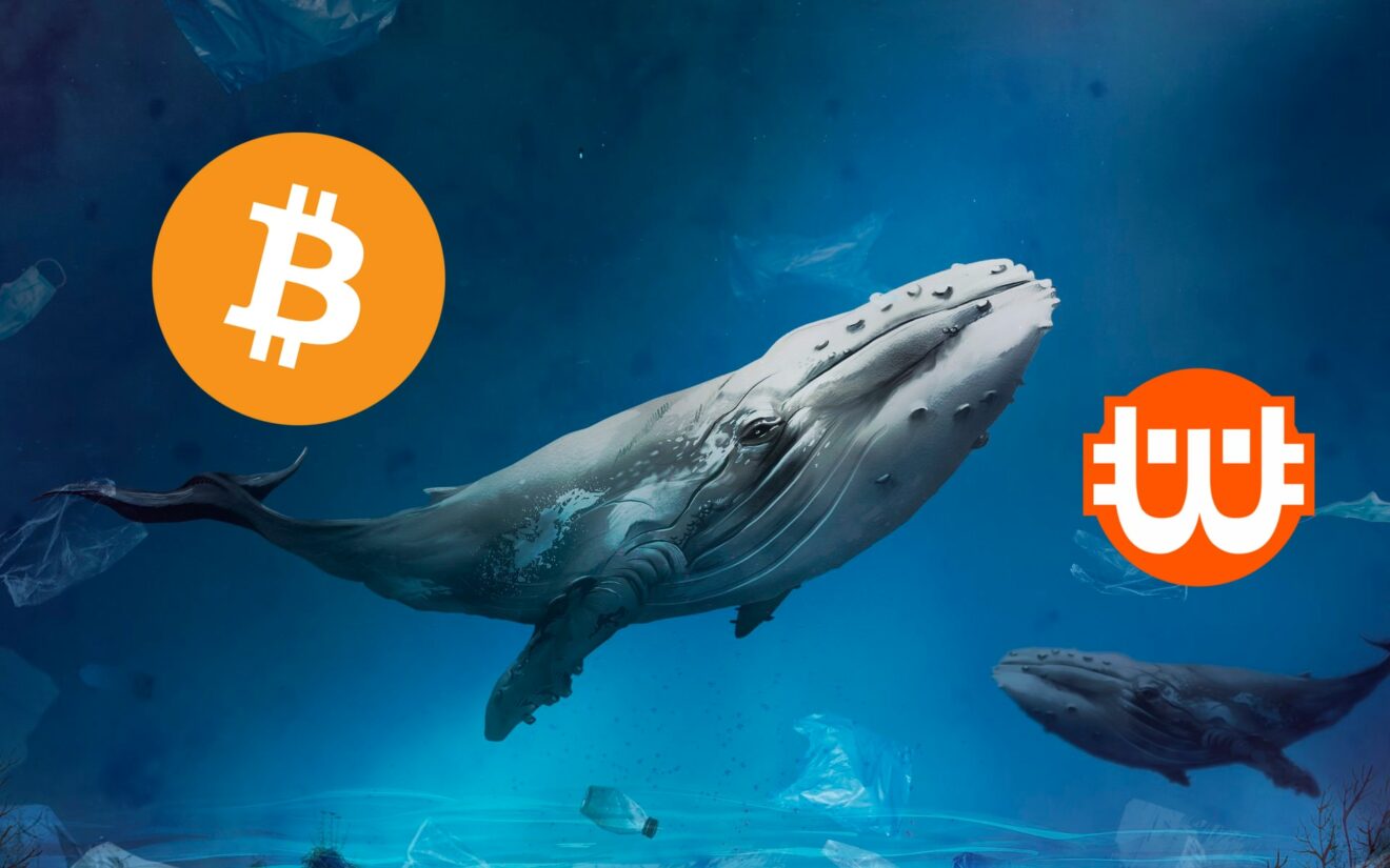 Újabb Satoshi-kori tárca aktiválódott, és ettől megint az egész piacnak ...
