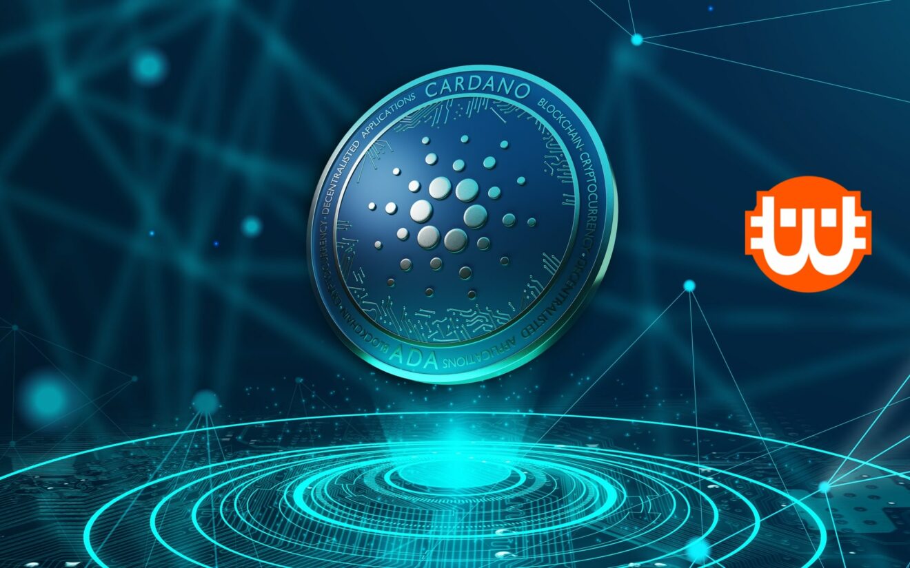 Világvége-hangulat a Cardano körül, tényleg eljött az a pont, amitől a ...
