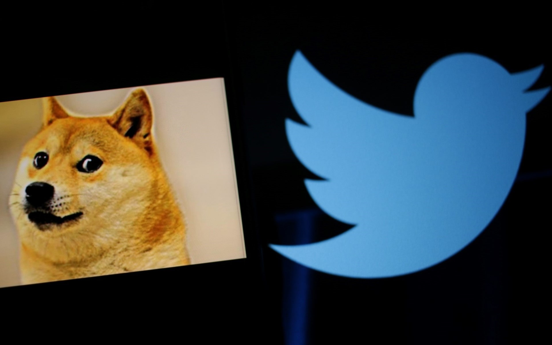 Elon Musk tweetelt, a Dogecoin kilőtt. A 0,11 dollár a következő ...